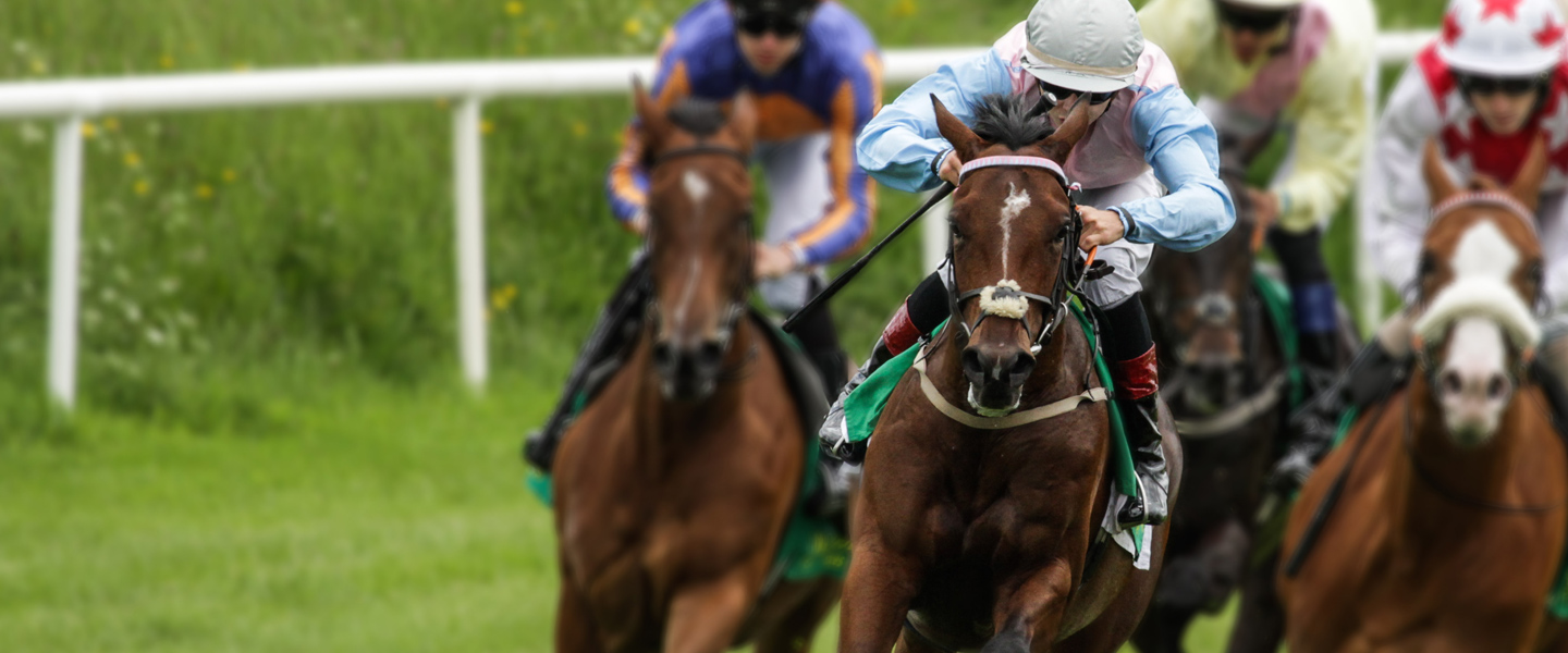 Digital sports tracking system to enhance the customer experience ...