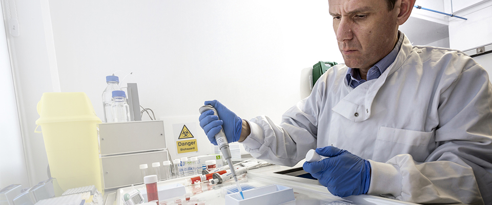 Applied Science - Innovation Team Expertise - CDP