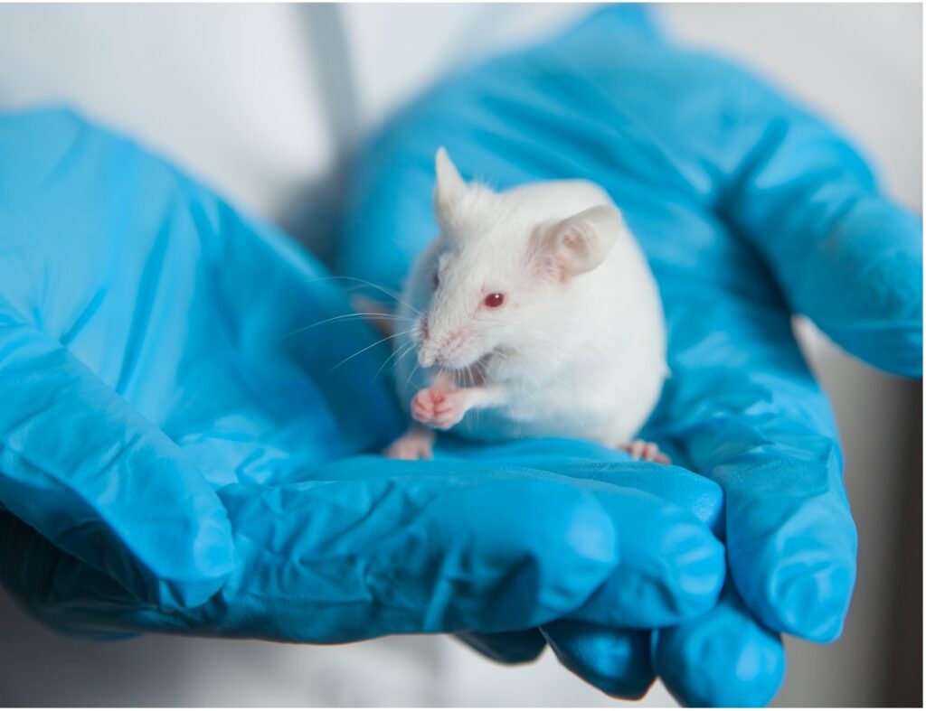 Novel Drug Delivery Strategies for Complex Therapies